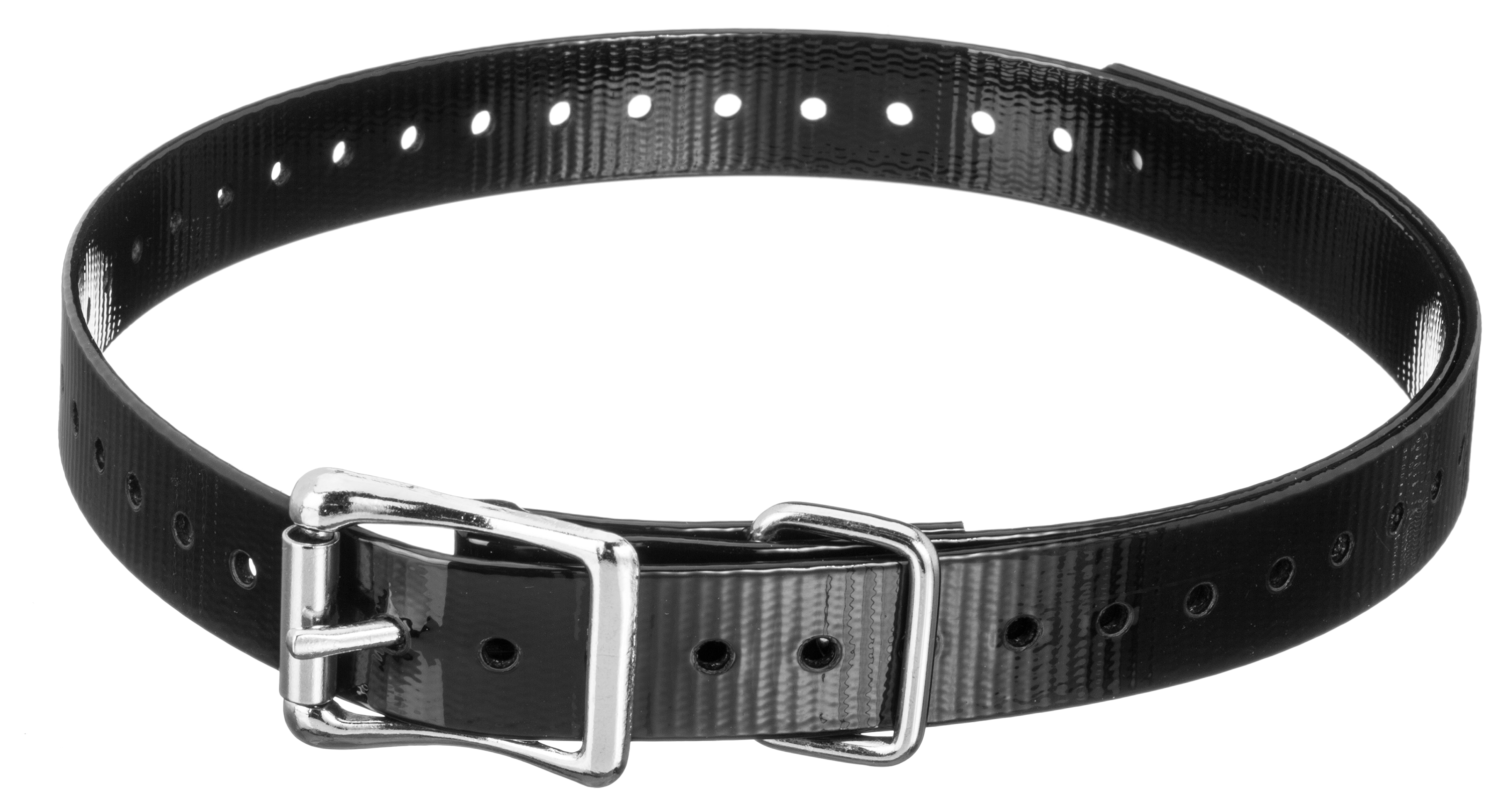 SportDOG Brand Colored Replacement Collar | Bass Pro Shops